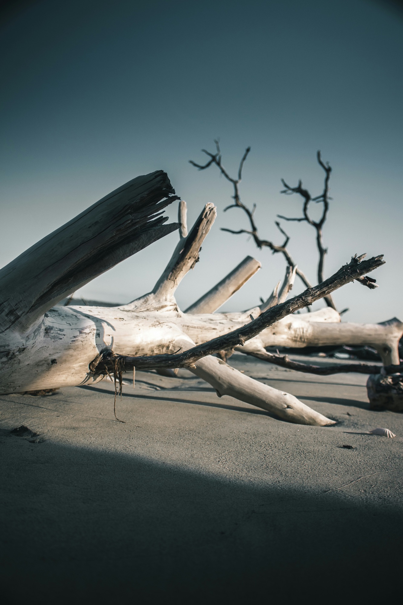 Christian Wiman Cuts Close to the Bone Again – Heartlands